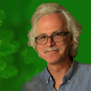 Why we languish, how to flourish – Corey Keyes – www.sreeni.org